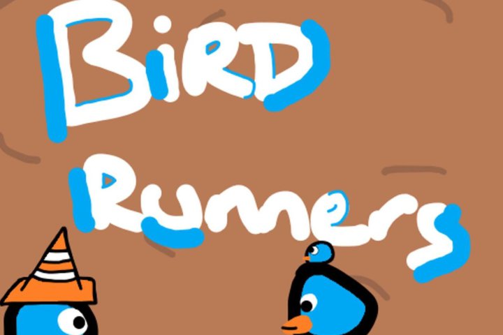 Bird Runners Oculus Meta Quest VR Game – vrgoo – Your best VR games site!